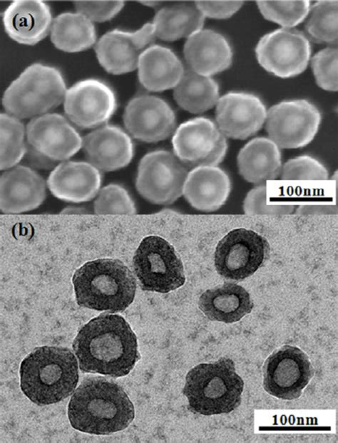 A Sem Image Of Silver Silica Core Shell Nanoparticles With 30 Nm Download Scientific Diagram