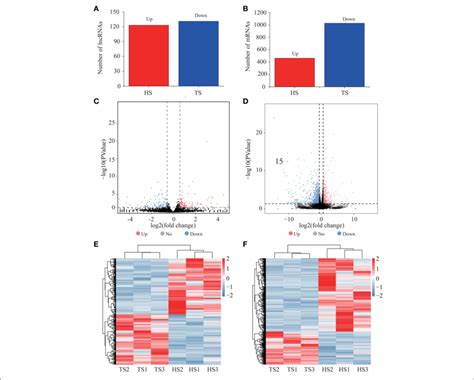 Expression Analysis Of Lncrnas And Mrnas A Numbers Of Upregulated