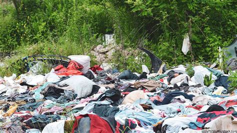 Fast Fashion Environmental Impact Singapore At Michael Hammons Blog