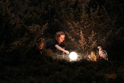 Stargazer R Photographs