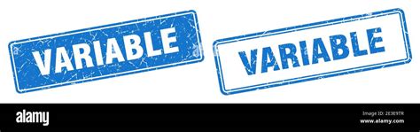 Variable Square Stamp Variable Grunge Sign Set Stock Vector Image