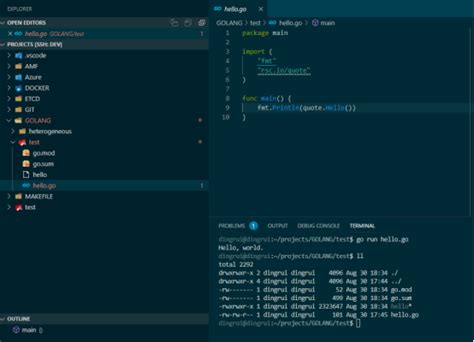 Cannot Import Xxxx Lsp With Go Mod · Issue 2720 · Microsoftvscode Go · Github