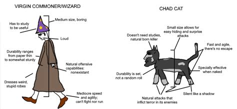The Virgin Commonerwizard Vs The Chad Cat Rvirginvschad