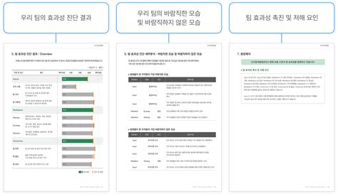 Psi Compass팀 효과성진단 Tpi
