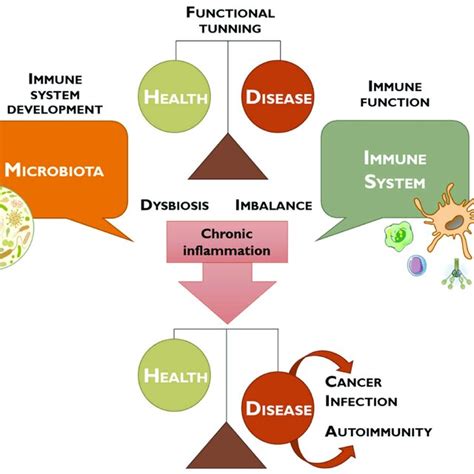 Summary Of The Microbial Species Present In The Normal Oral Microbiota
