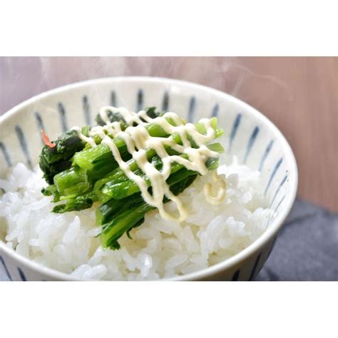 たか菜新漬青高菜 阿蘇たかな漬 熊本県阿蘇産 菊池食品 250g 冷凍便 熊本県 もりたやヤフー店 通販 Yahoo ショッピング