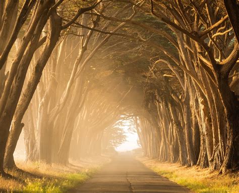 Exploring The Software Engineering Career Path In The Usa Future Skills