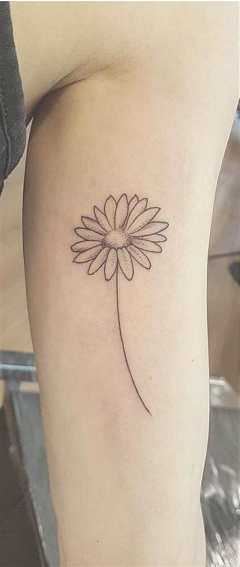 Daisies Tattoo Outline