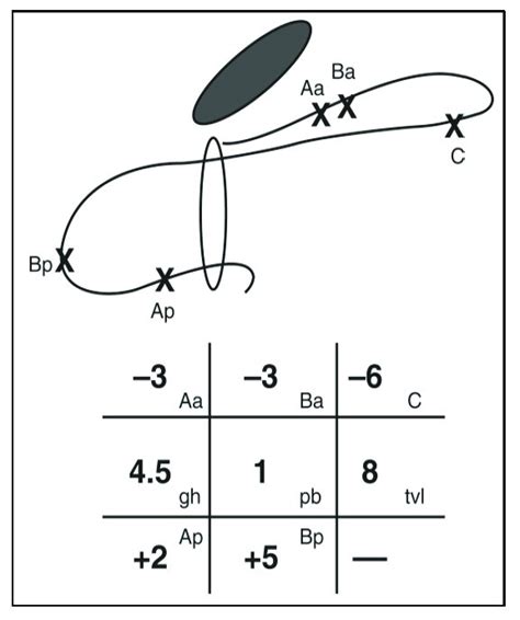 An Example Of Measurements Using The Pop Q System Download