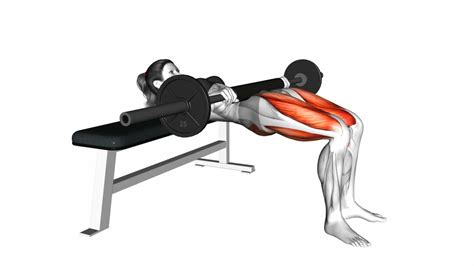 Barbell Hip Thrust For Women Video Guide And Tips