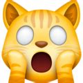 🙀 Weary Cat Emoji