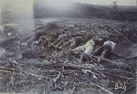 Corpses Laid Out In A Field After A Battle Historical Photographs Of