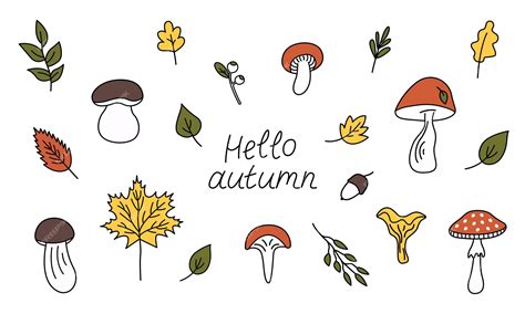 Premium Vector Autumn Aesthetics Forest Set Elements Collection Of