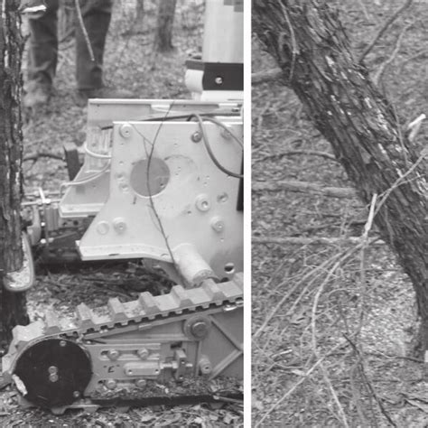 Prototype Robot Tested For Erc Tree Cutting Download Scientific Diagram