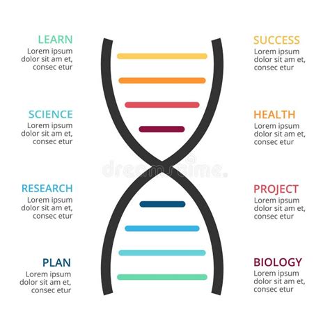 Dna Data Chart For Science Project Snapgene Software For Everyday