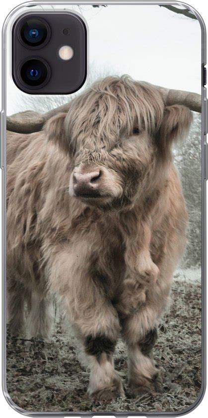Geschikt Voor Iphone 12 Mini Hoesje Schotse Hooglander Natuur Herfst Dieren Bol