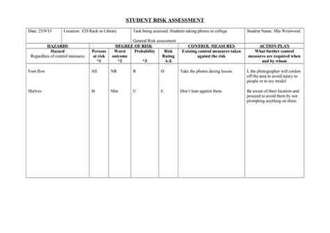 Preliminary Risk Assessment 1 Doc