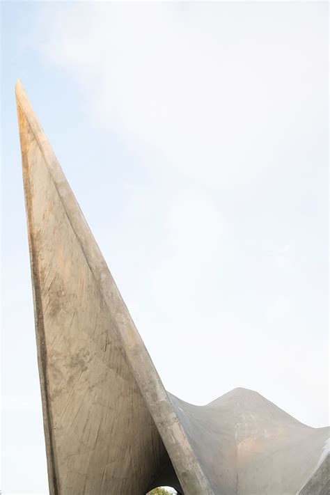 Alejandro Zohn Su Obra A Través De La Lente De 5 Fotógrafos