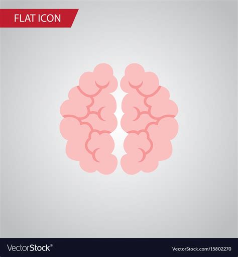 Isolated Mentality Flat Icon Mind Element Vector Image