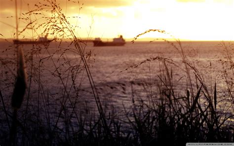 Landscape Sunset In Salvador 4k Uhd Wallpaper For Ultrahd Desktop And