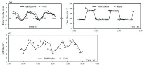 Model Verification A Flow Velocity And Direction And B Ssc The