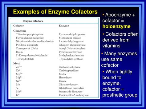 Ppt Hl Chemistry Option B Human Biochemistry Powerpoint
