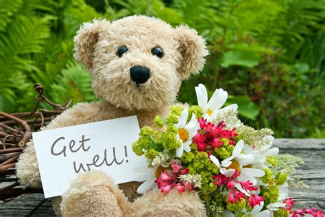 What Are The Best Get Well Soon Flowers Best Flower Site