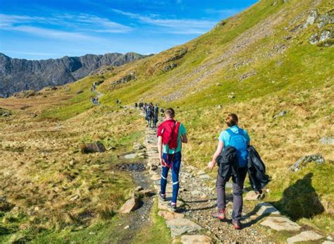 Sealyham Active Learning Centres