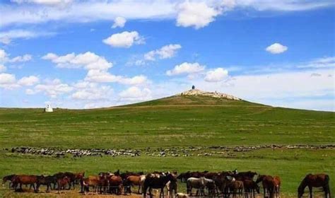 Цагаан Овоо Уурхайнхан Facebook