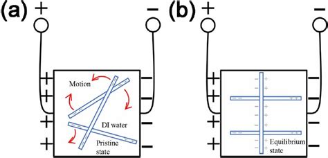 Schematic Diagram Of The Electrostatic Repulsion Download Scientific