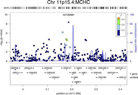 Regional Plot Of Snps On Chromosome 11p154 Associated With Mchc Snps