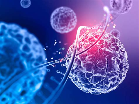Eubacteria 19 Fun Facts About These Fascinating Microorganisms