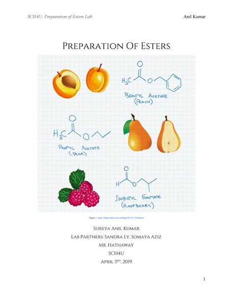 Preparation Of Esters Lab Preparation Of Esters Figure 1 Blogtrulux
