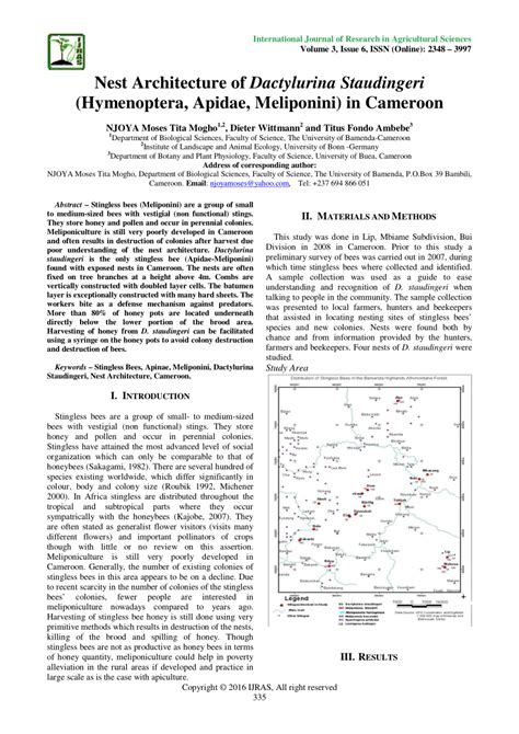 Pdf Nest Architecture Of Dactylurina Staudingeri Hymenoptera Apidae