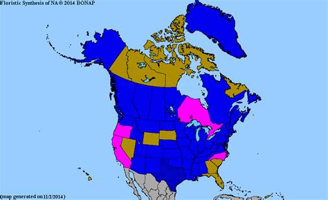 2013 Bonap North American Plant Atlas Taxonmaps