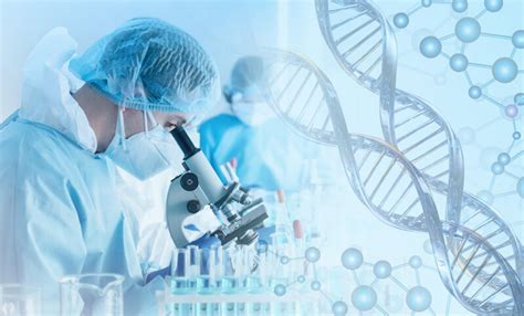 Stem Cell Research Creative Bioarray Creative Bioarray