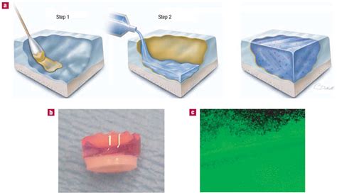Multifunctional Chondroitin Sulphate For Cartilage Tissue Biomaterial