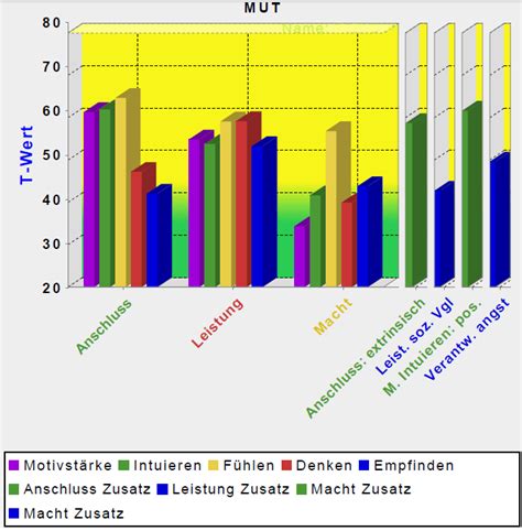 Psi Tests Sauer Coaching