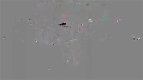 Selin Esmer Gotunu Domaltiyor Eporner