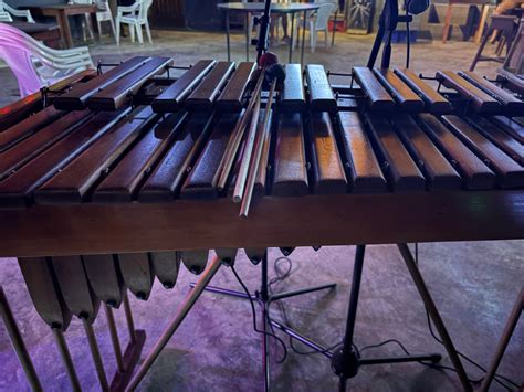 Marimba Ave Fénix
