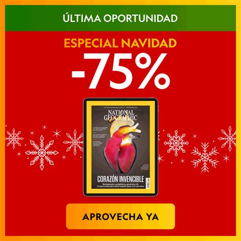 Así Es Un Embrión Humano A Los 7 Días Tras La Fecundación Un Baile De