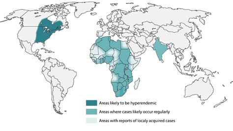 What Causes Blastomycosis Blastomycosis Cdc