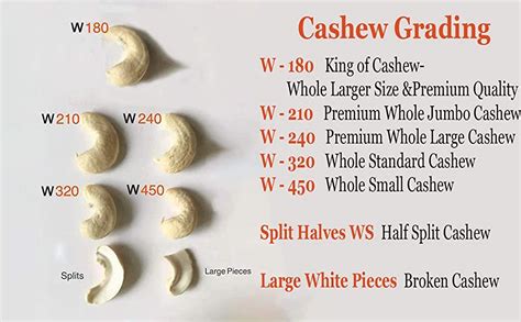 Grades Of Cashew There Are Several Different Grading Systems Used For Anil Mathew Varghese