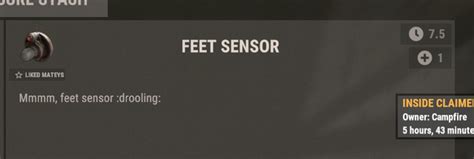 Wanted To See The Rust Pirate Language Option And R Playrust