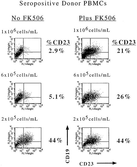 Effect Of Initial Cell Density On The Proportion Of Cd23 B Cells In