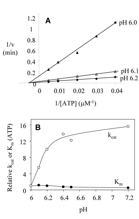 Effect Of Ph On Csk Kinetics With Atp As The Variable Substrate A