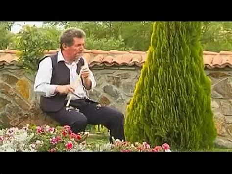 Qingji I Vogel Pellumb Hajdari