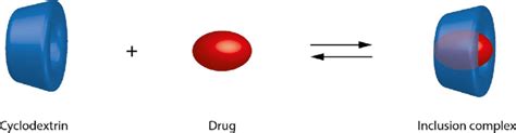 Formation Of An Inclusion Complex Of Cyclodextrin With A Drug Source