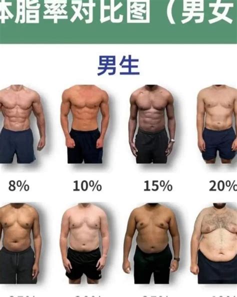 男士脂肪率标准对照表图（男士脂肪率对比照片） 十日日知识