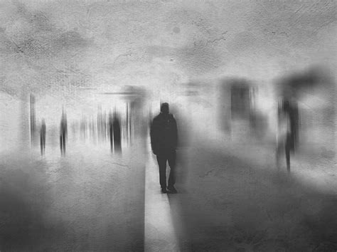 Bewildered Photograph By Lammakmak Fine Art America